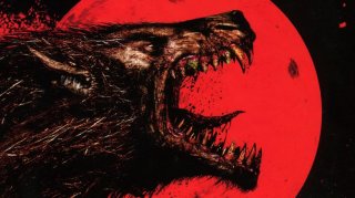 Tim Lammers Articles on Looper