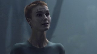 Dylan Roth Articles on Looper